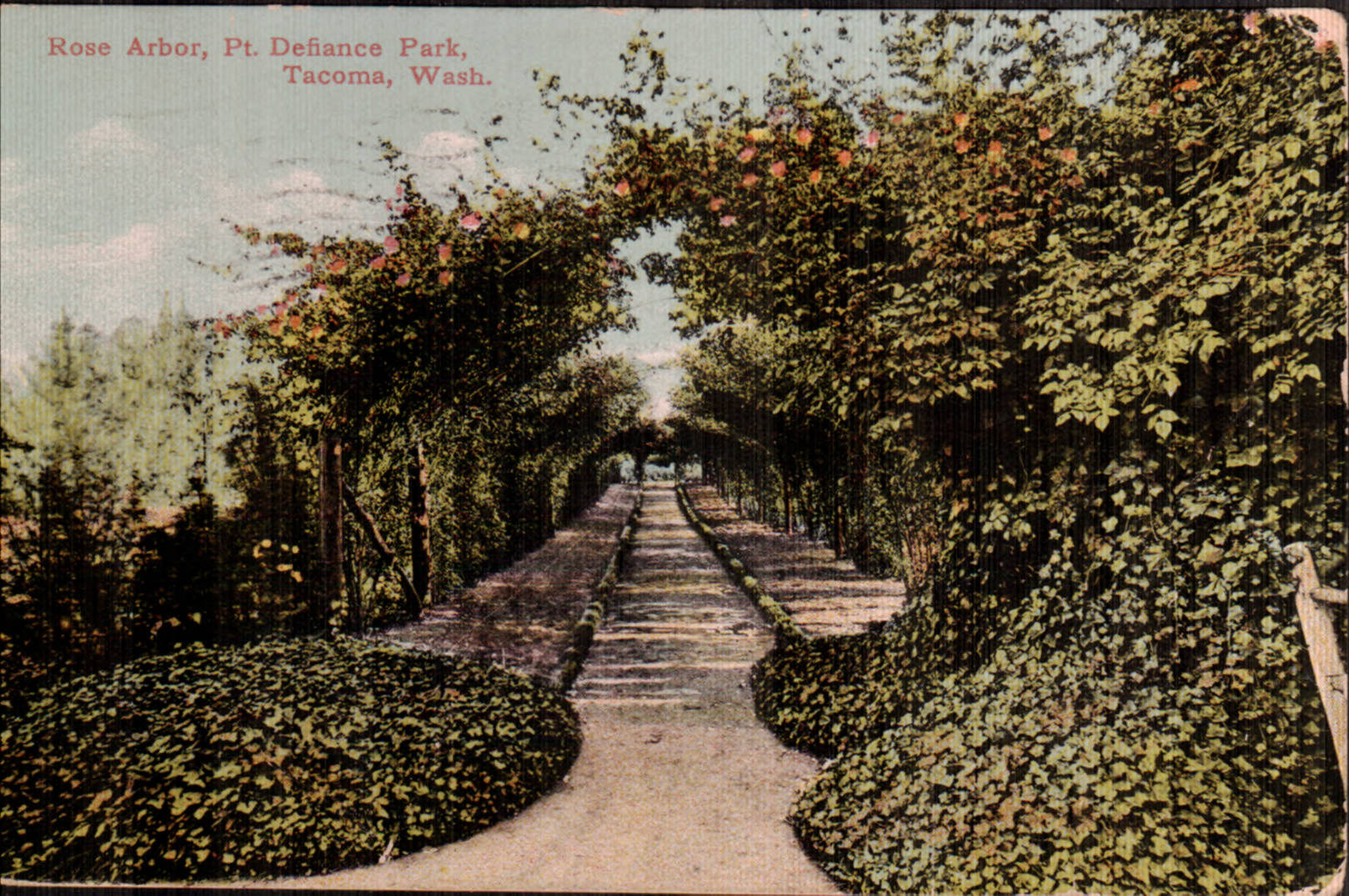 Stop and Smell the Roses at Point Defiance – Tales of Tacoma