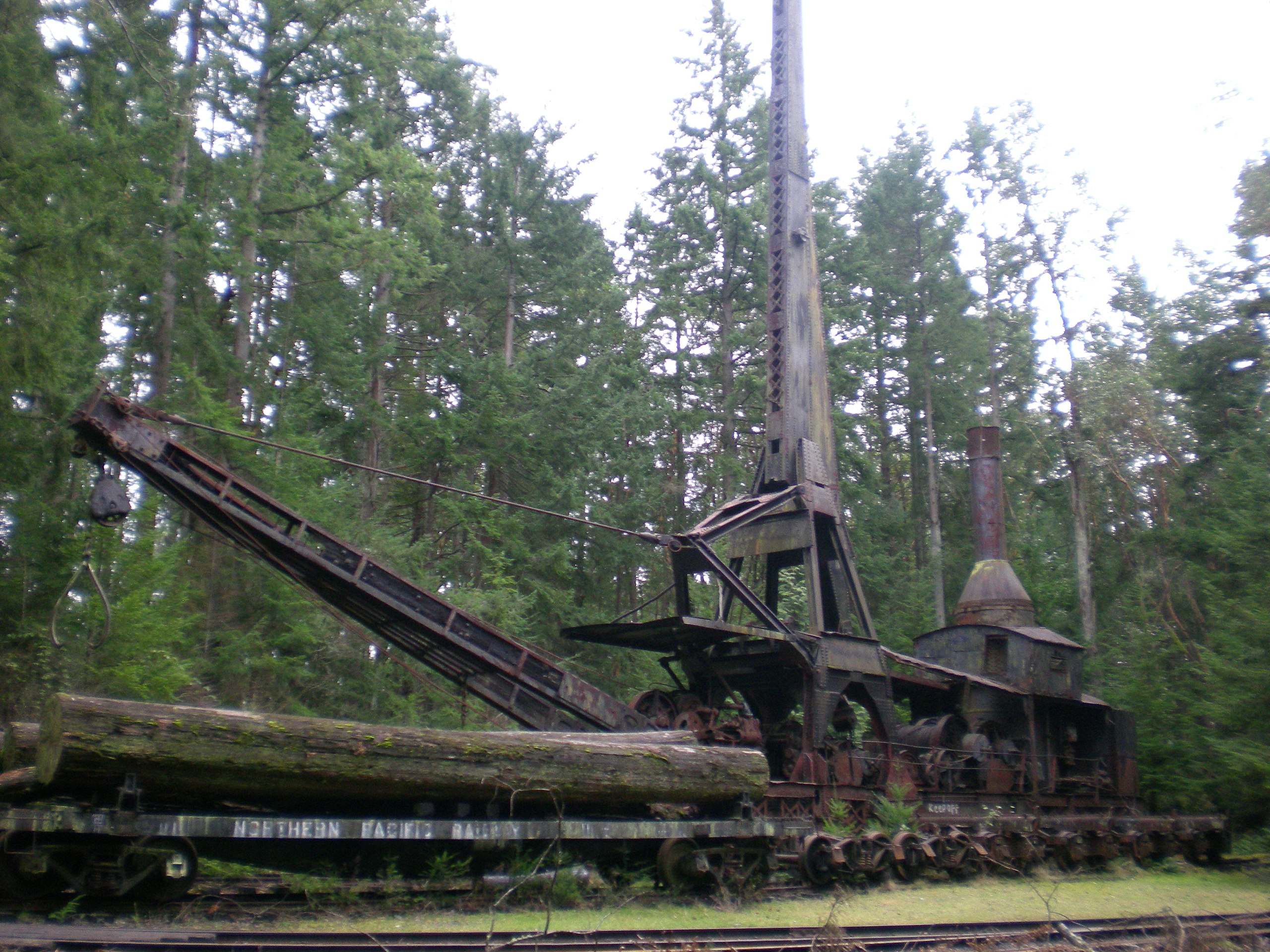 How I Became a Volunteer at Camp 6 – Tales of Tacoma